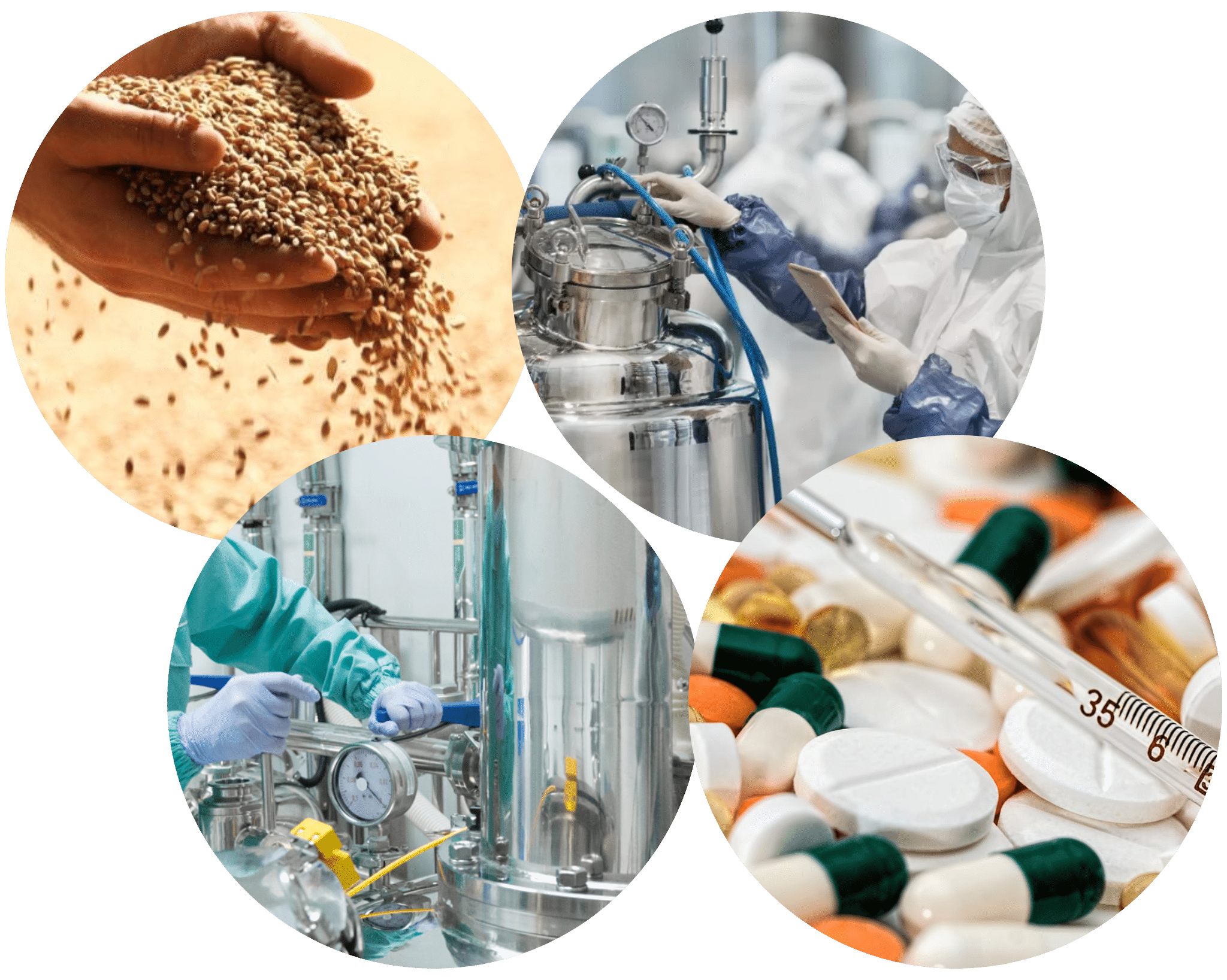 Production Scale Chromatography | GMI - Trusted Laboratory Solutions